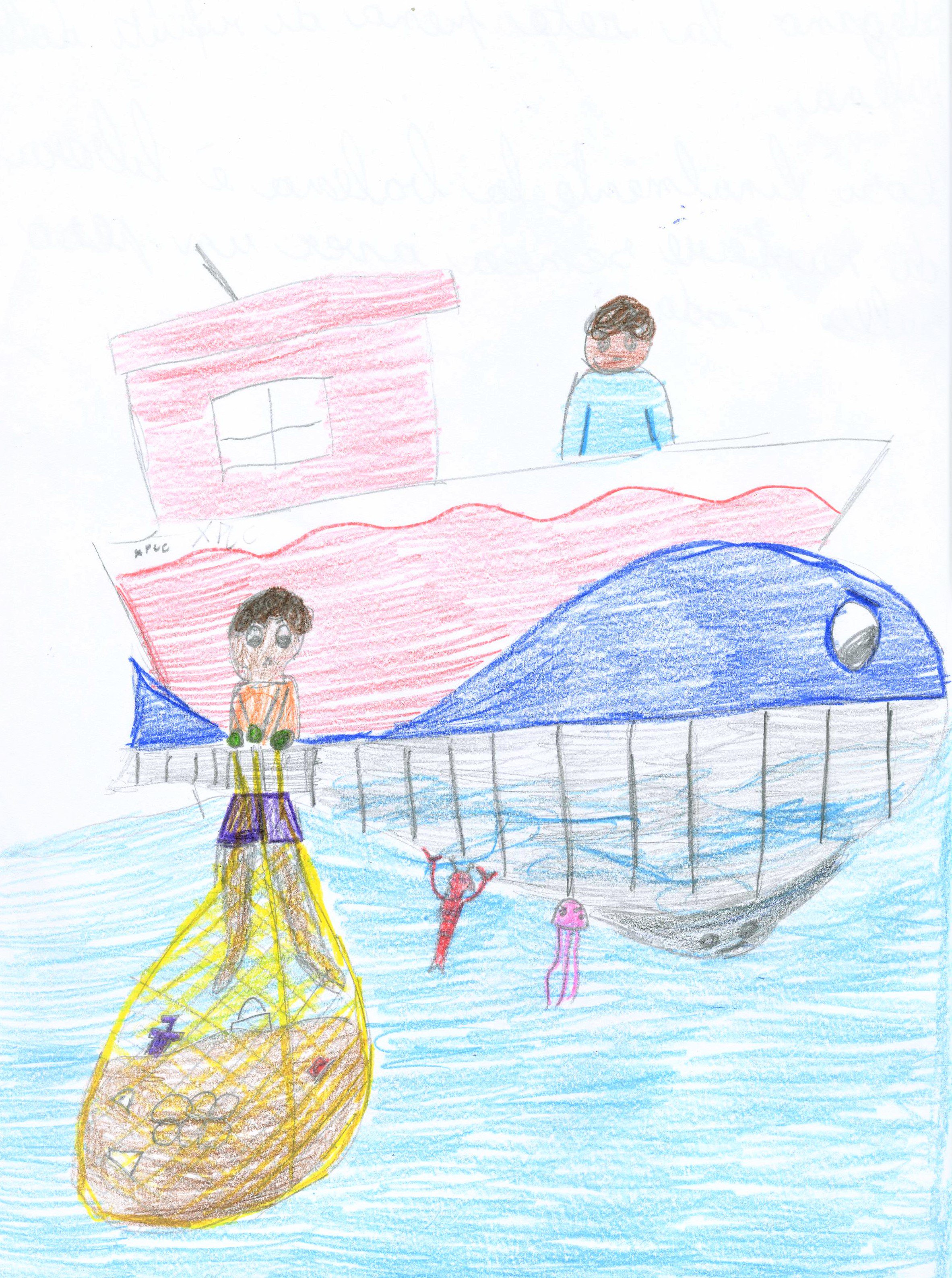 Cittadine e cittadini dell’oceano grazie ai cartoons - Bnews